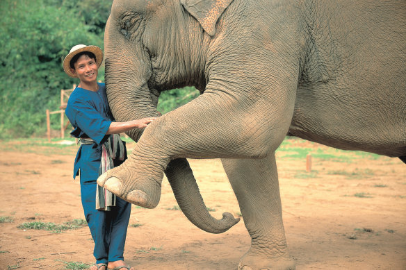 Golden Triangle, South-East Asia: Nine must-do highlights in Thailand