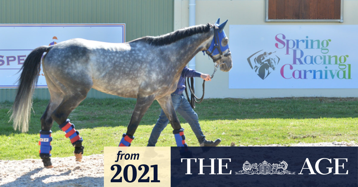 Spring carnival 2021″ Werribee upgrades complete, ready for first ...