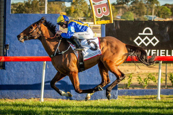 Race-by-race tips and previews for Sunday’s Dubbo meeting