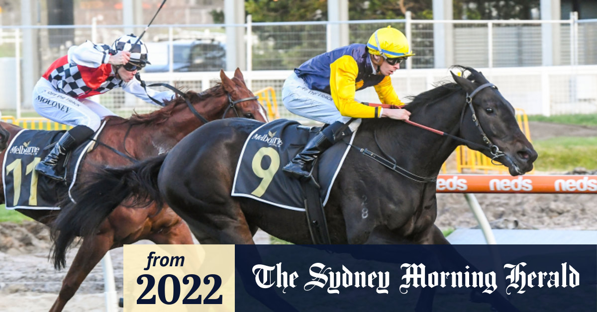 Begg believes Cardinal Gem will swoop on the Golden Eagle