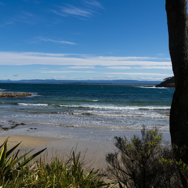 Wreck Bay PFAS contamination investigation reveals sickness, death in ...