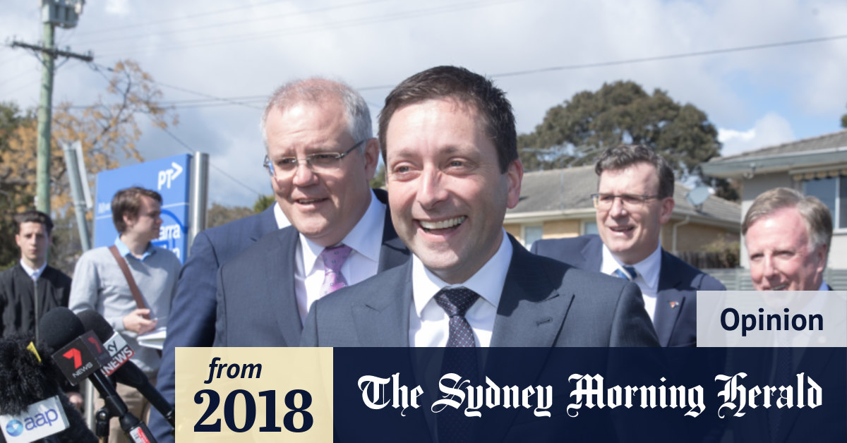 Malcolm Turnbull has taken Liberal Party's base with him, says Young ...