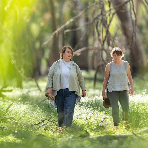 Going against the flow: the plan to engineer Victoria’s wetlands