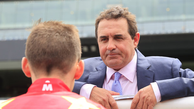 Freedman hopeful House of Cards can reach great heights