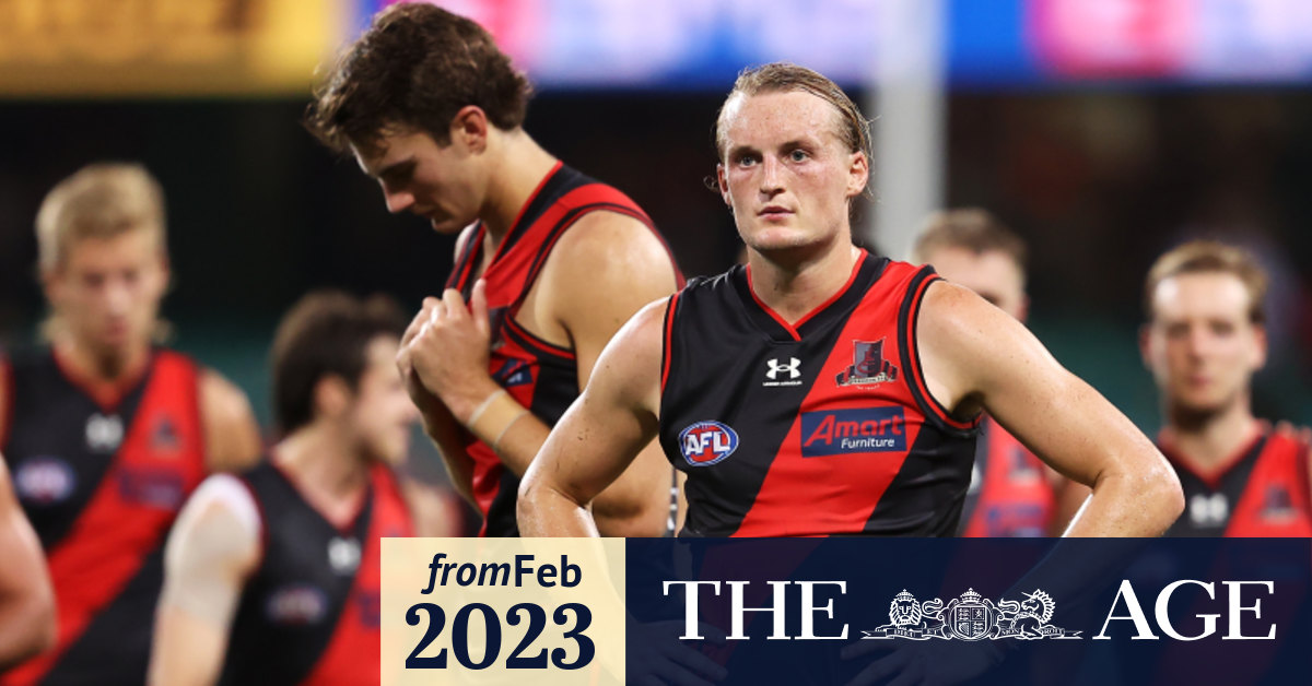 AFL 2023: Mason Redman would put up hand for Essendon Bombers captaincy
