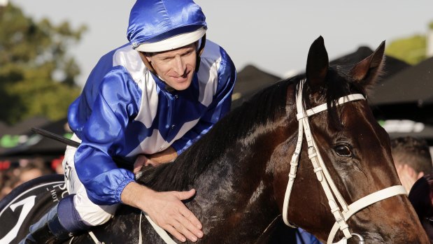 Winx is arguably the best Australian racehorse of all time. But will ...