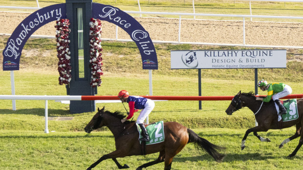 Hawkesbury races Tuesday tips and full preview