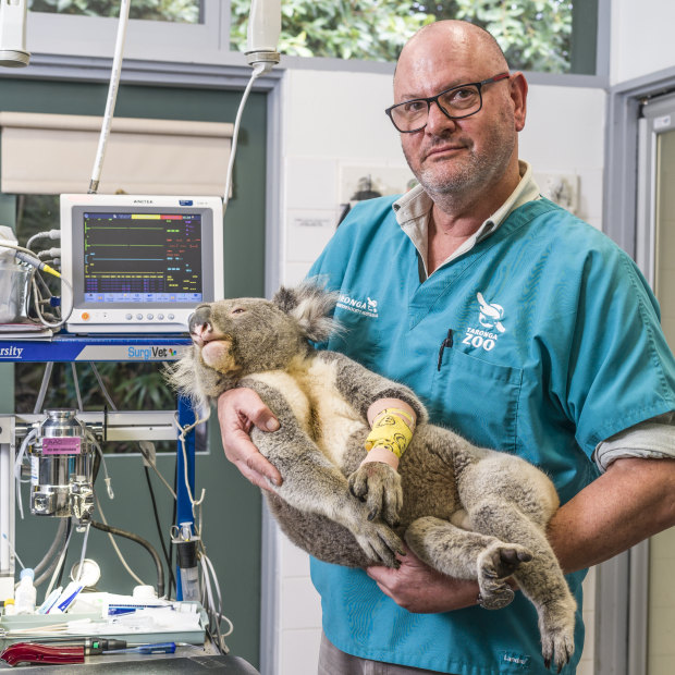 The new public gallery at Taronga Zoo’s animal hospital