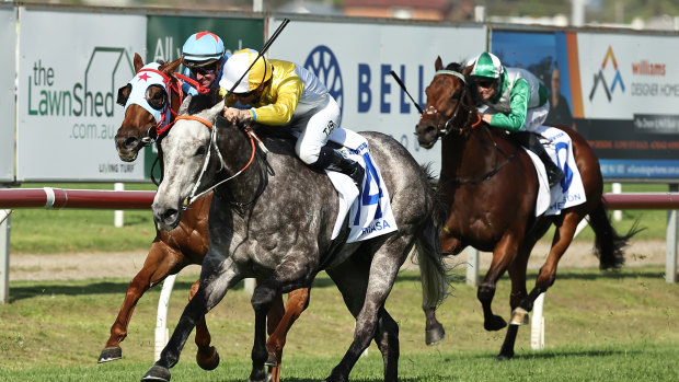 Rising star Briasa puts Everest in sights with gritty Hunter victory