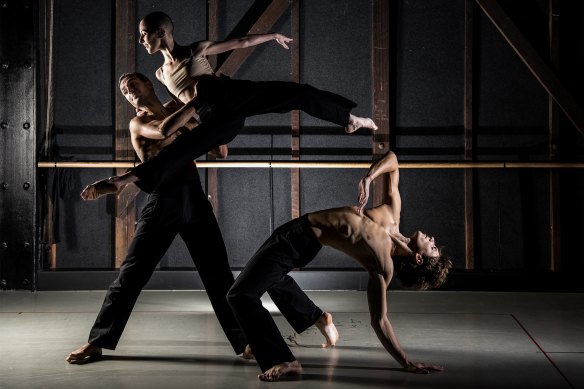 Sydney Dance Company heads off for the world stage, as international ...