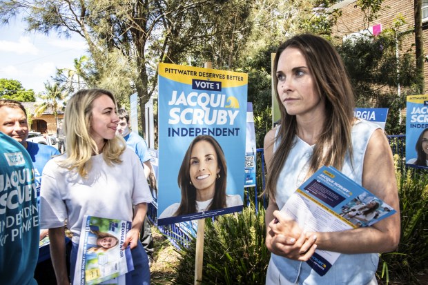 Pittwater: Liberal Party draws few conclusions from teal Jacqui Scruby ...