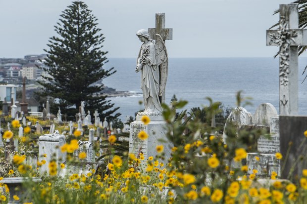 IVC ASX: TPG’s $1.8b InvoCare takeover fair and reasonable, expert ...