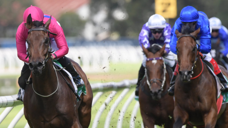 Markwell looks for Derby redemption with Angel Of Truth