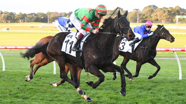 Mogo Magic puts his unbeaten record on the line, but is he good enough ...