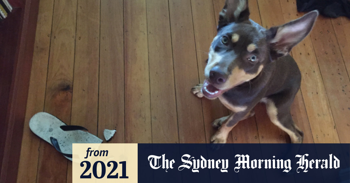 How to stave off boredom when it’s raining cats and dogs