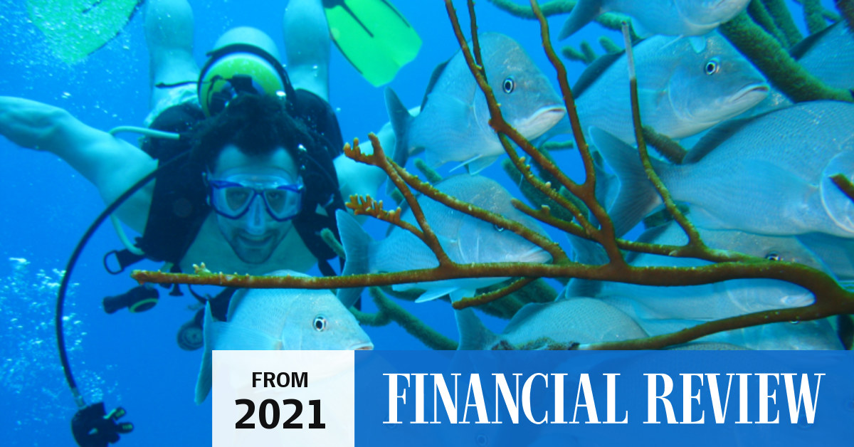 How this CEO found clarity in the depths of the ocean