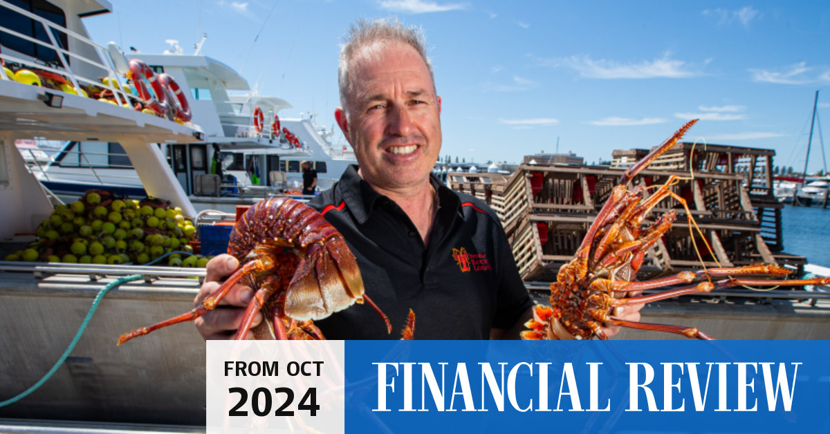 WA fishermen celebrate end of China lobster ban