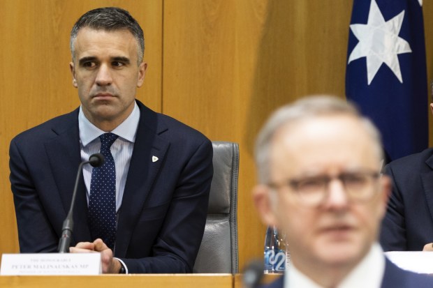 South Australian Premier Peter Malinauskas. Anthony Albanese split over ...