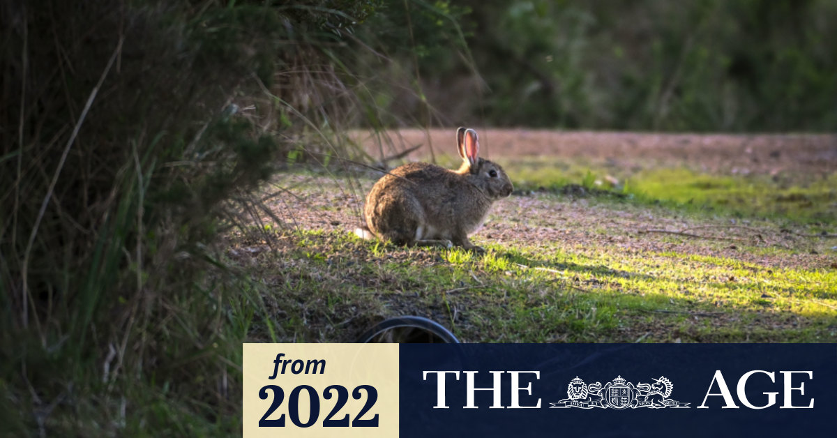 Australian biodiversity and introduced species: Digital maps to drive ...