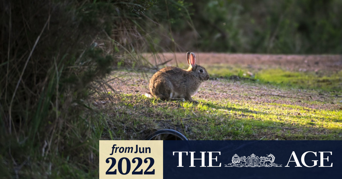 Australian biodiversity and introduced species: Digital maps to drive ...