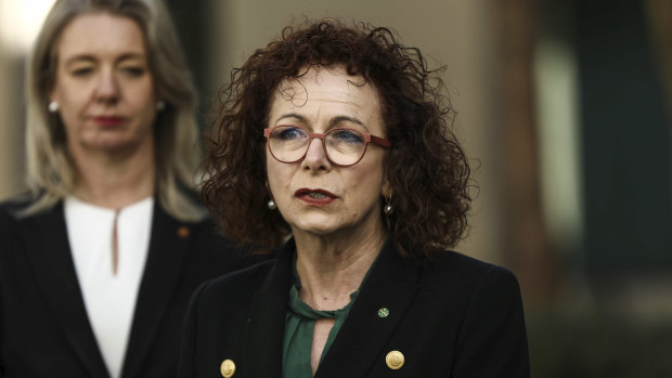 Anne Webster reveals sexual harassment by MP in Parliament House