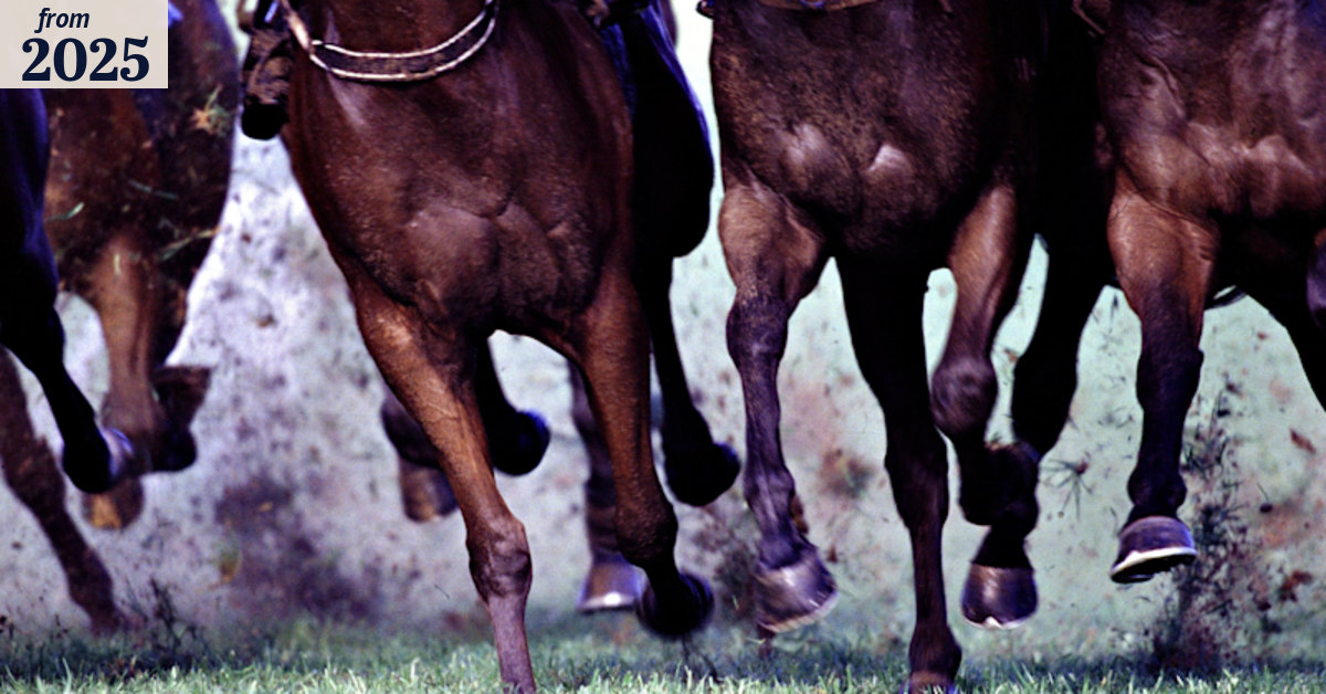 Race-by-race tips and preview for Bathurst on Tuesday