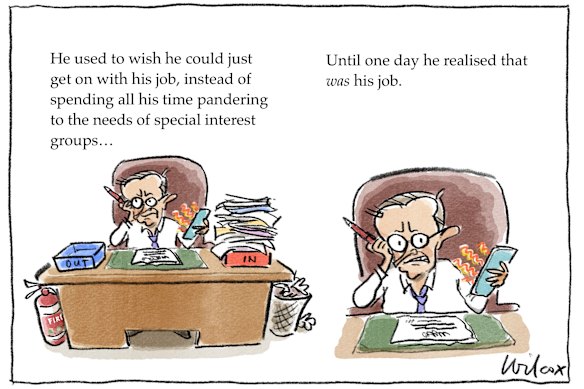 Best of cartoons, February 12, 2026