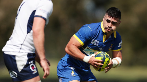 Super Rugby 2020: NSW Waratahs take a punt on Kiwi forward Charlie Gamble