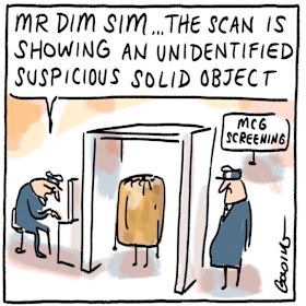 Guns at the MCG: How the AI security scanning system failed