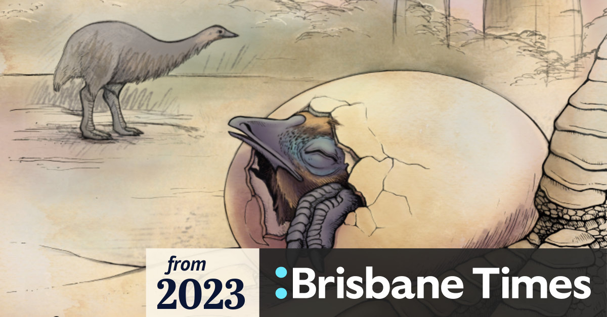 DNA from eggshells helps crack mystery of the elephant bird