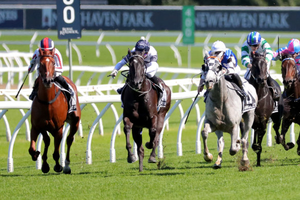 Wildcard Spangler proving as good as gold for owners