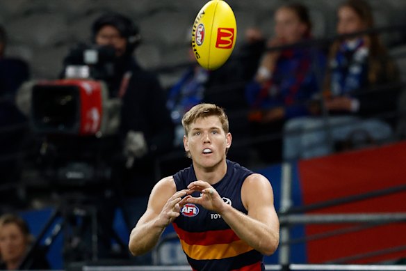 Western Bulldogs vs Adelaide Crows LIVE: AFL round 14 2026, scores ...