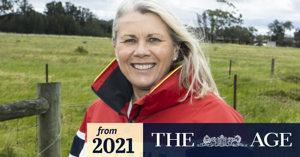 AFL 2021: Melbourne Demons set to appoint Kate Roffey as club president ...