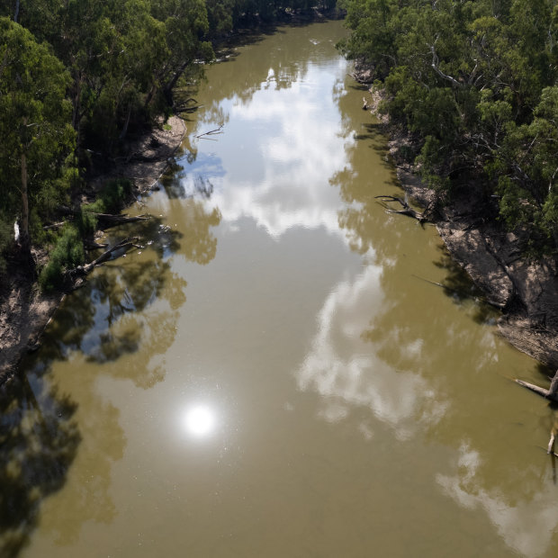 Going against the flow: the plan to engineer Victoria’s wetlands