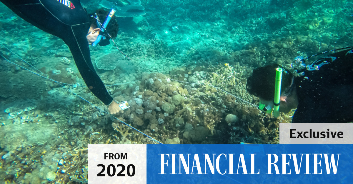 'Reef credits' to help save the Great Barrier Reef