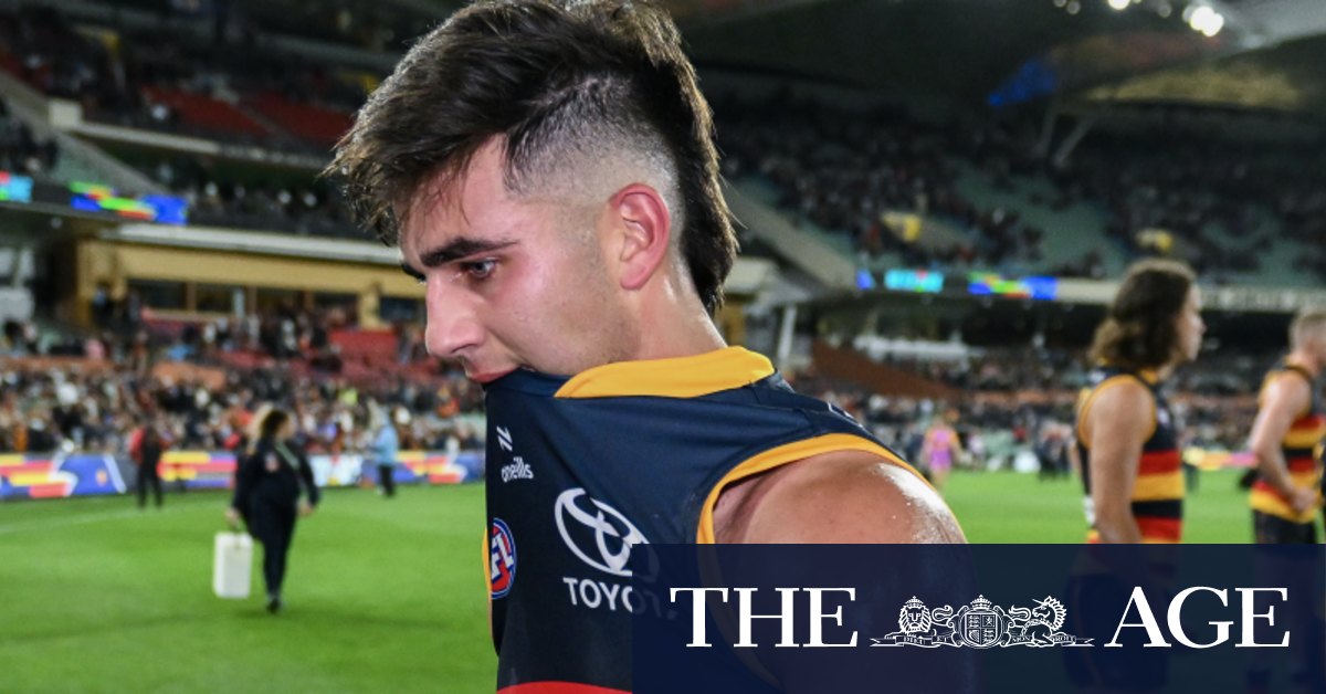 AFL 2024: Adelaide Crows’ Josh Rachele wasn’t brave enough against ...
