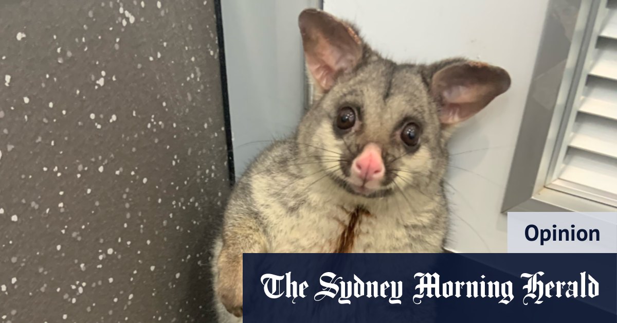 I’ve worked out why Aussies are so laid-back, and I didn’t even have to ...