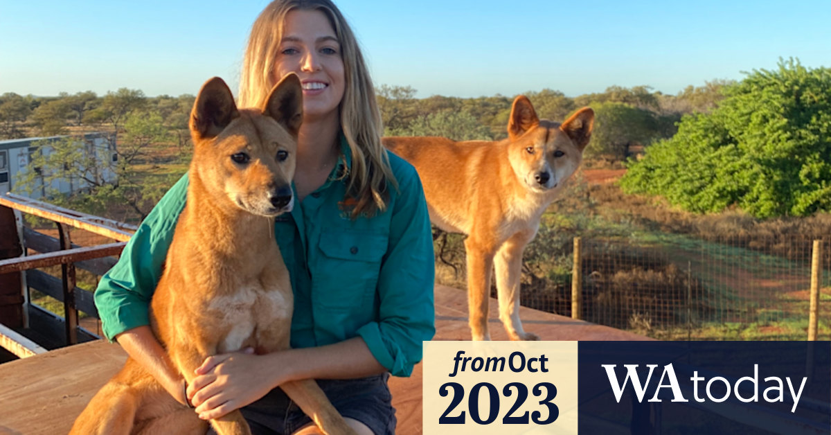 West Australian ‘dingo tours’ launched at Murchison cattle station