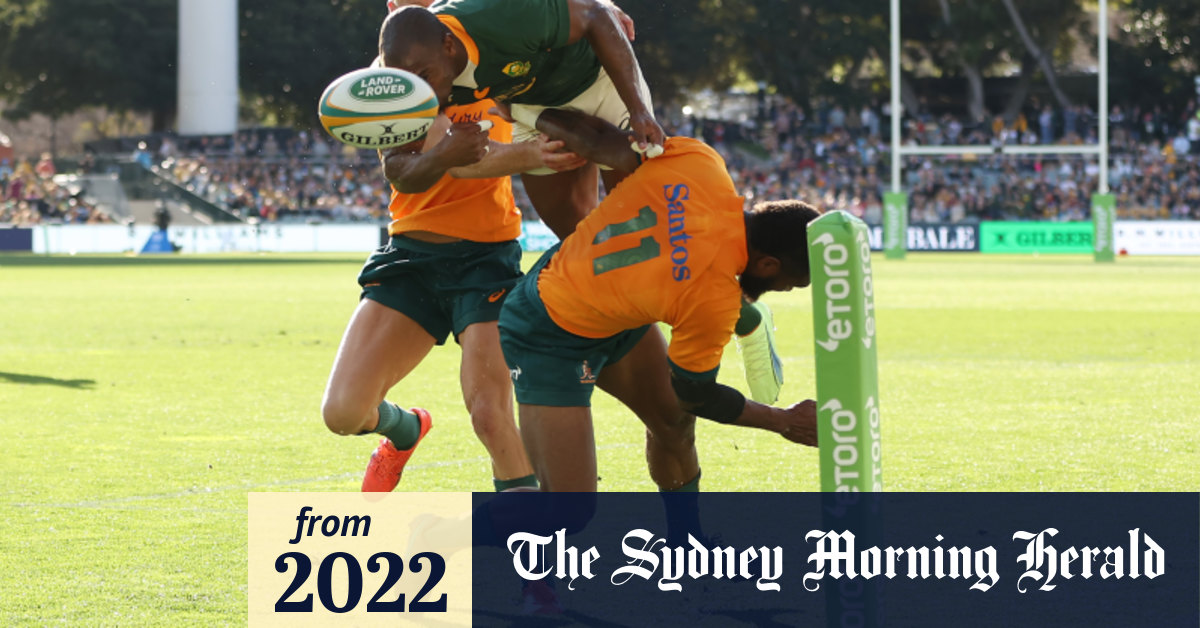 The Rugby Championship 2022, Wallabies v Springboks: Marika Koroibete ...