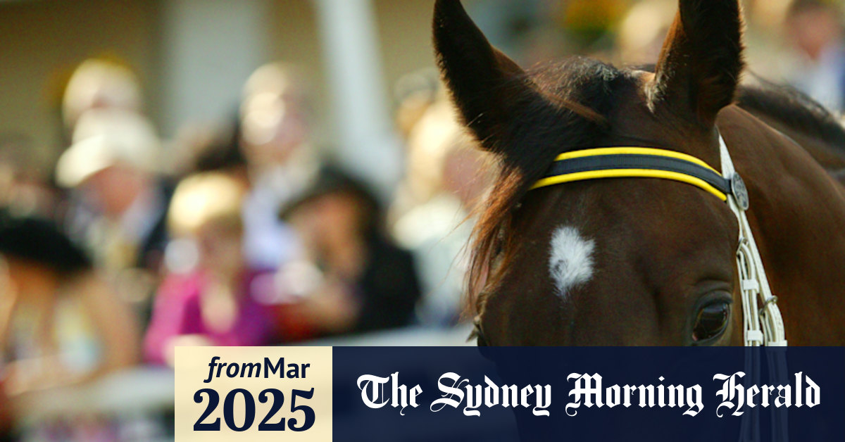 Race-by-race tips and previews for Friday’s Scone meeting