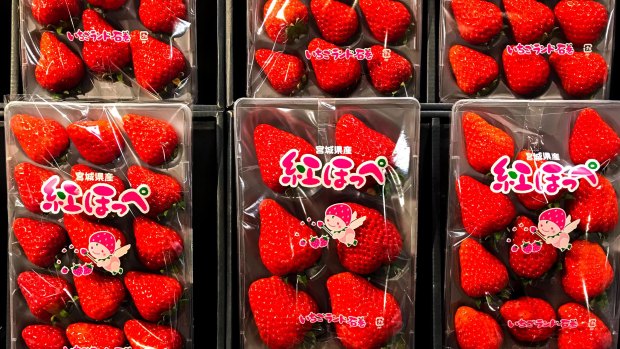 Japanese strawberries moving closer to Australian dinner tables