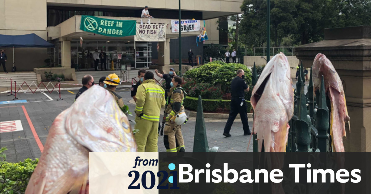 Parliament protest has activist on the roof and dead fish on the fence