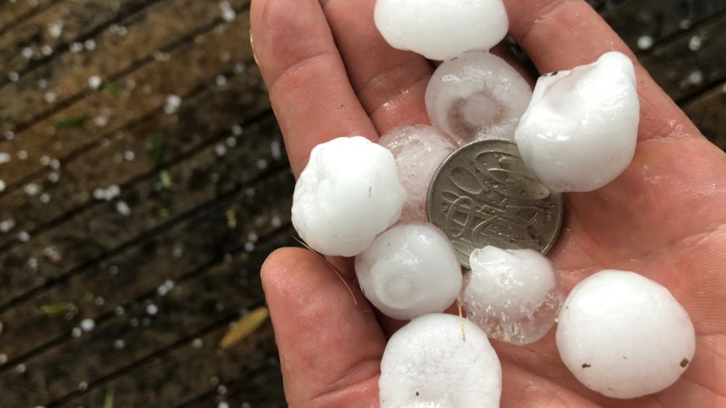 Sydney weather: Large hailstones fall as severe thunderstorms hit ...