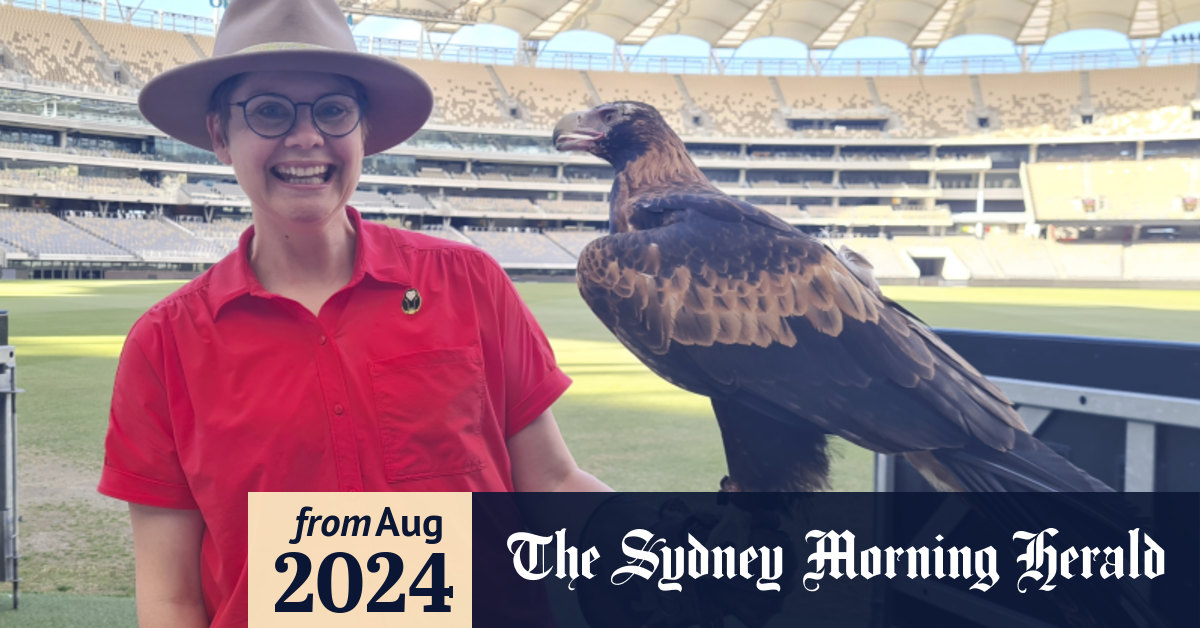 Dr Ann Jones’ new ABC documentary The Secret Life of Urban Birds