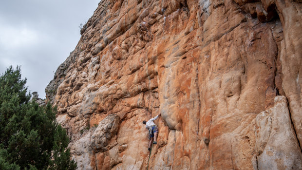 Quill Awards: The Age journalists secure 41 nominations