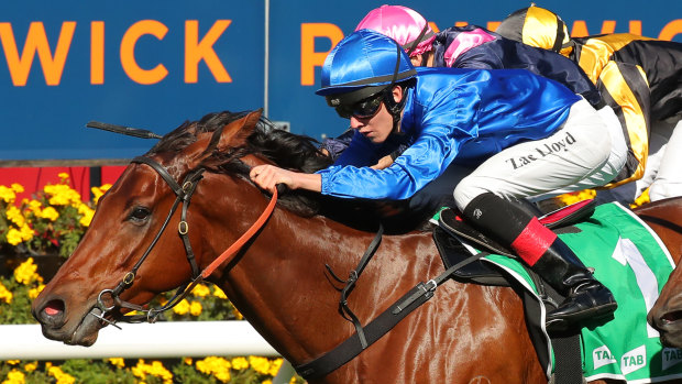 Randwick Saturday races: Zac Lloyd returns for Sydney apprentice jockey ...