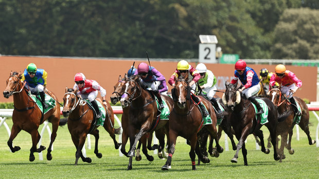 Scone races: Sir Remlap looms as cream of the crop at Scone