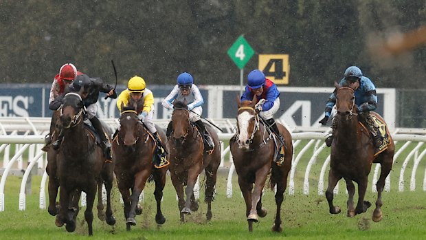 Race-by-race preview and tips for Forbes on Sunday