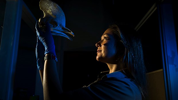 'Sometimes women aren't listened to' in science