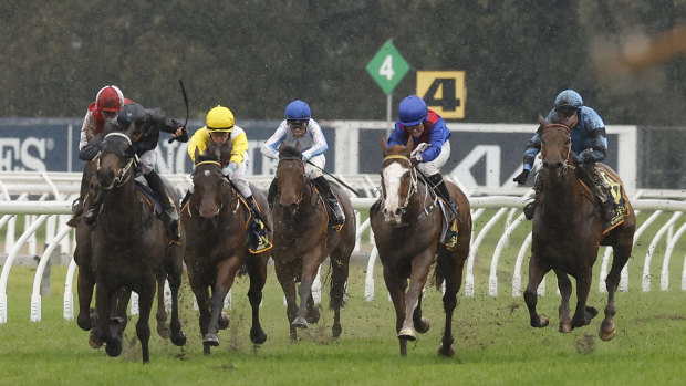 Race-by-race preview and tips for Forbes on Sunday